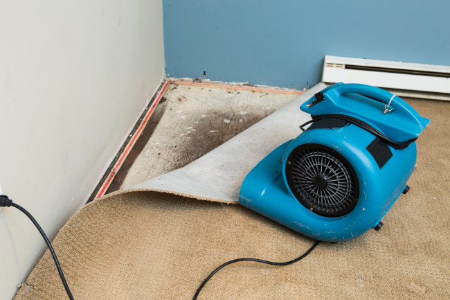 Water Damage, Orlando, FL | Undisputed Steamers [Video]