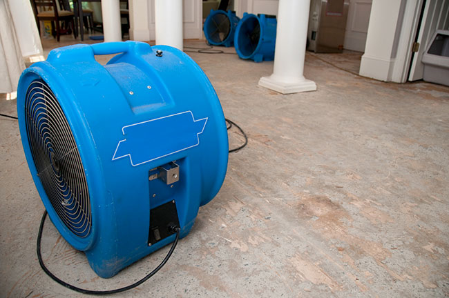What to Expect from the Water Damage Cleanup Process | Undisputed Steamers